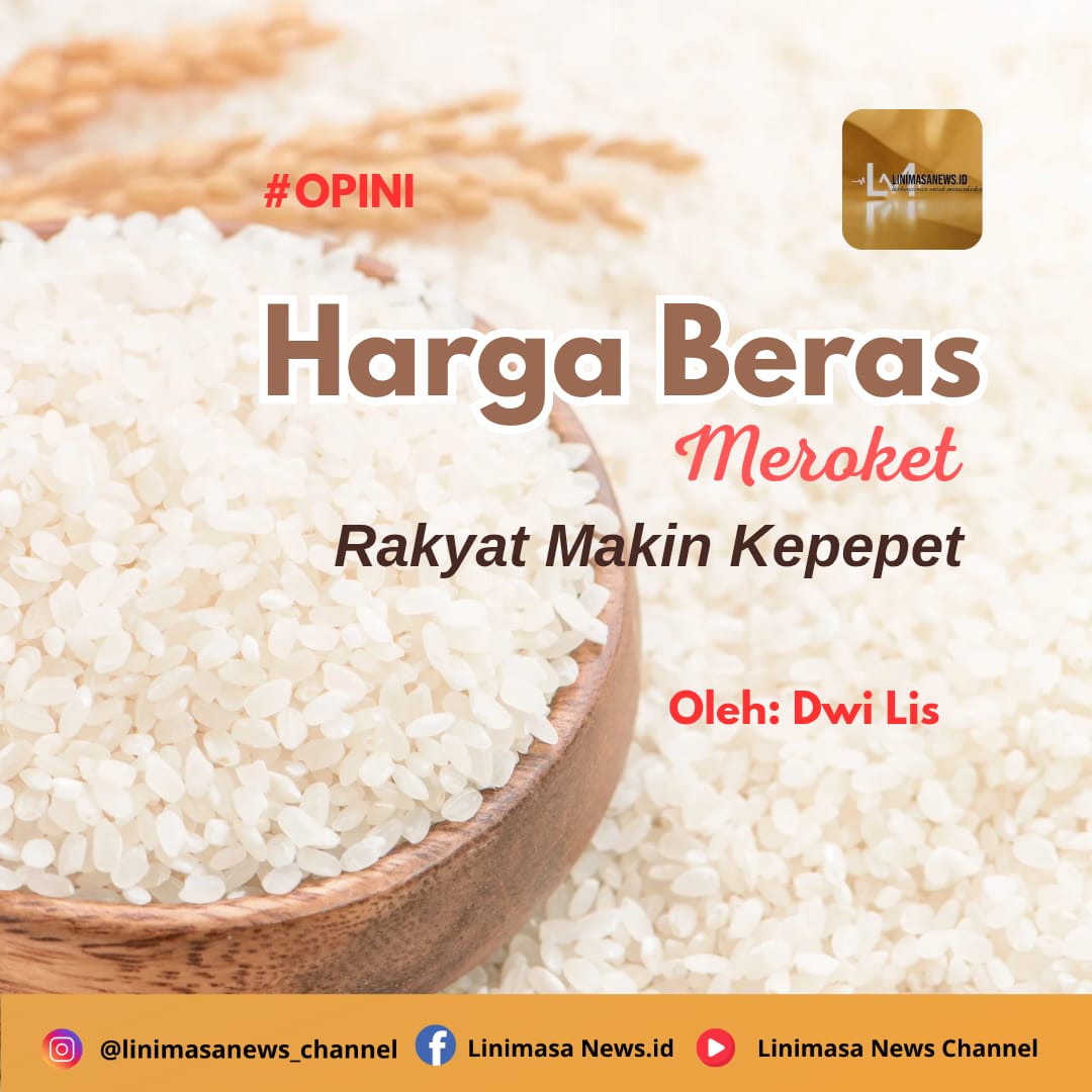 Harga Beras Meroket, Rakyat Makin Kepepet - Linimasanews.id